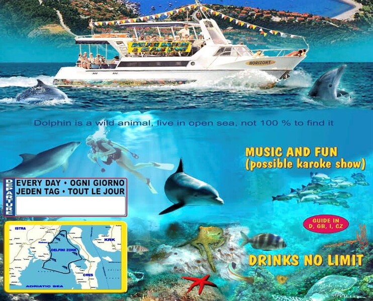 Dolphin Watching Boat Excursion on Island Cres to Sv. Blaž